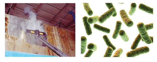 Why Use Steam? - Supersteam